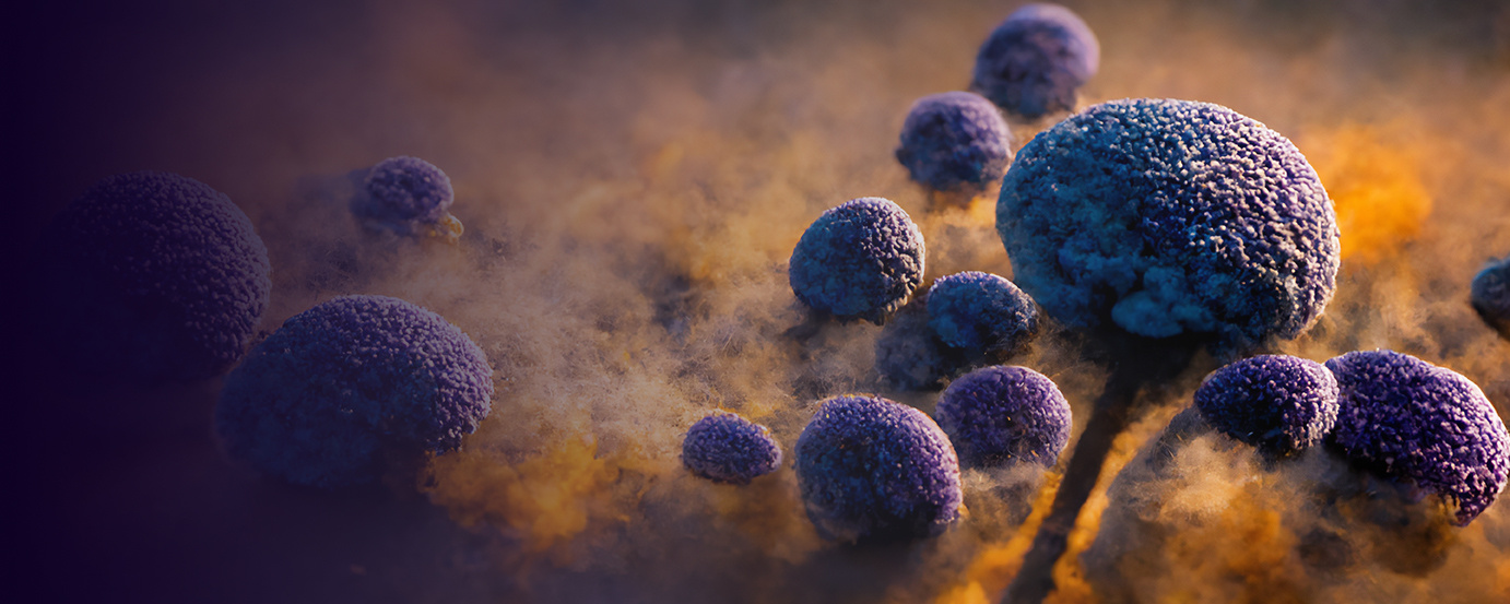 LCTech GmbH | Probenvorbereitung mit innovativen Produkten