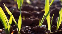 Environmental applications - a snap with LCTech